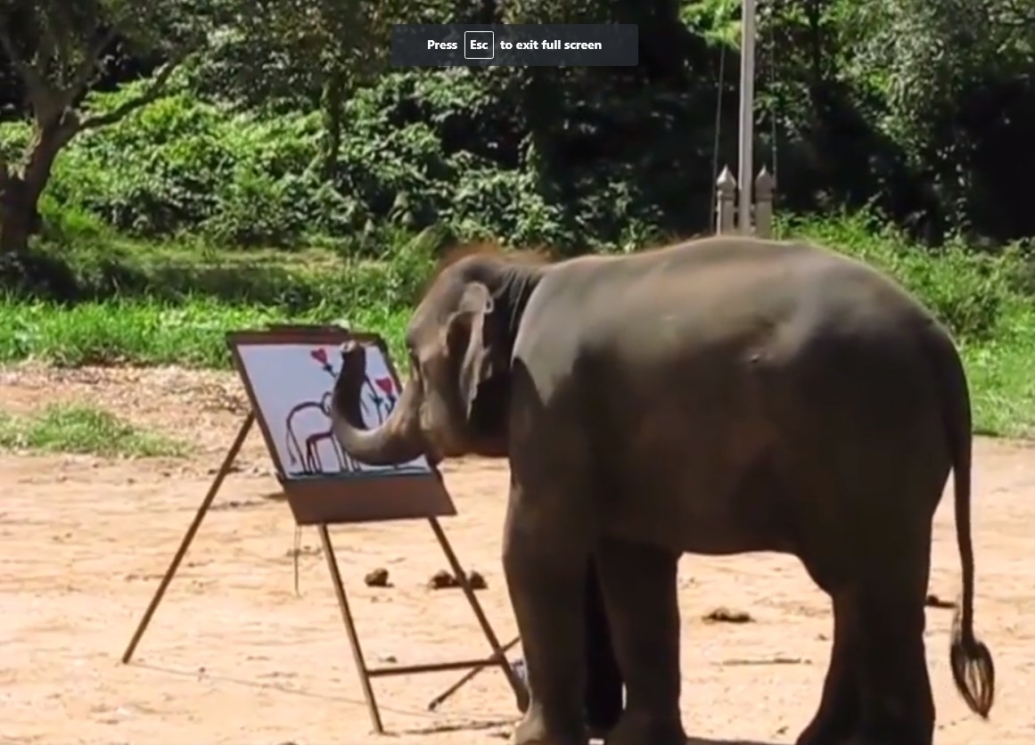 Slon slika umjetnička djela