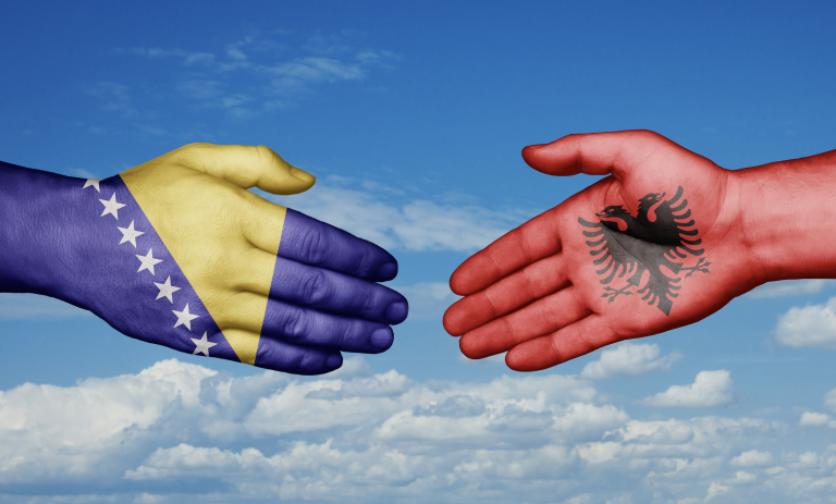 Albanci u SFRJ i BiH: Od autonomije do ustavne nevidljivosti